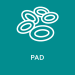 Intersocietal PAD guideline (2023 update) - IWGDF Guidelines