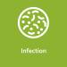 IWGDF/IDSA Infection guideline (2023 update) - IWGDF Guidelines