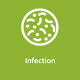 IWGDF/IDSA Infection guideline (2023 update) - IWGDF Guidelines